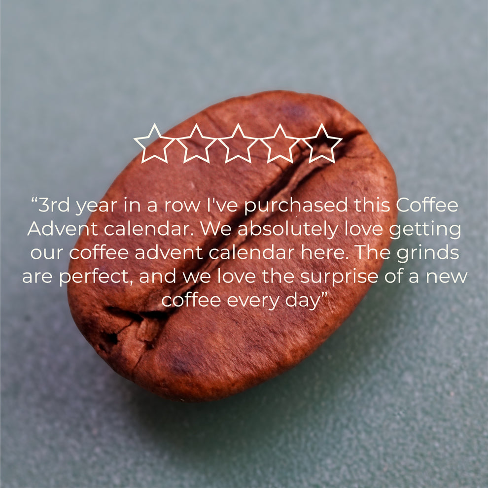 Coffee Advent Calendar 2025 | Now Shipping | Yawn Brew